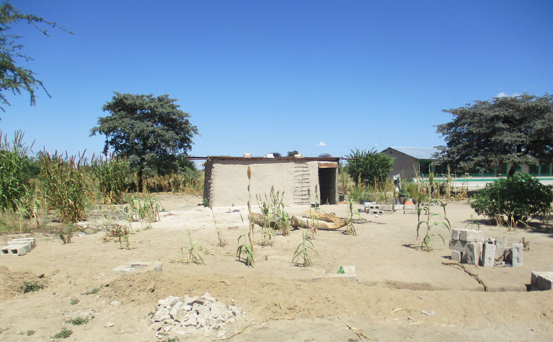 Family of physically-challenged woman want govt to intervene – Caprivi ...